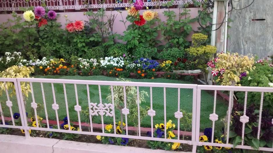 Making Your Main Garden Making an Attractive Garden in a Limited Space ...