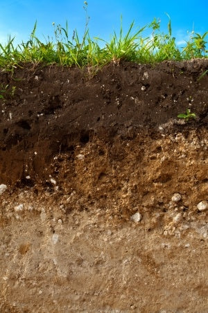 Soil Types and Soil Preparation for Your Land – Gardening Books