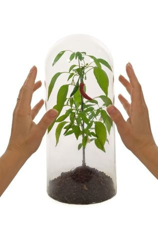 Introduction to Plant Propagation – Gardening Books